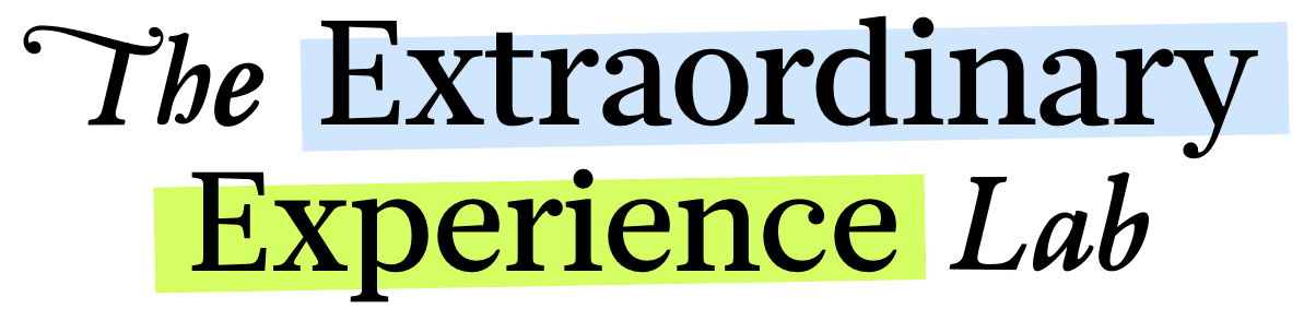 Learning Experience Journey Map | The Extraordinary Experience Lab